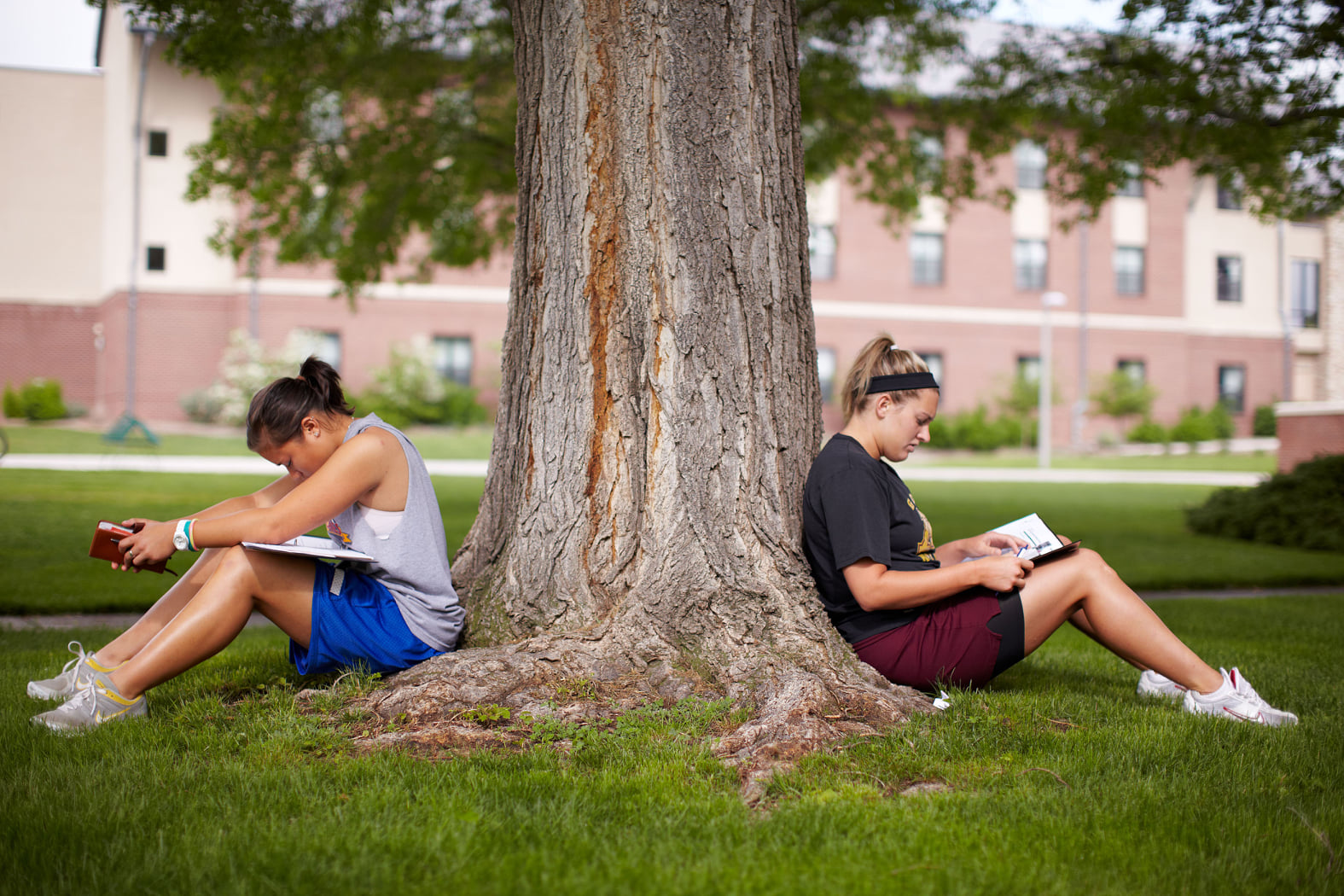 Home-SAMPLE - Everycampus